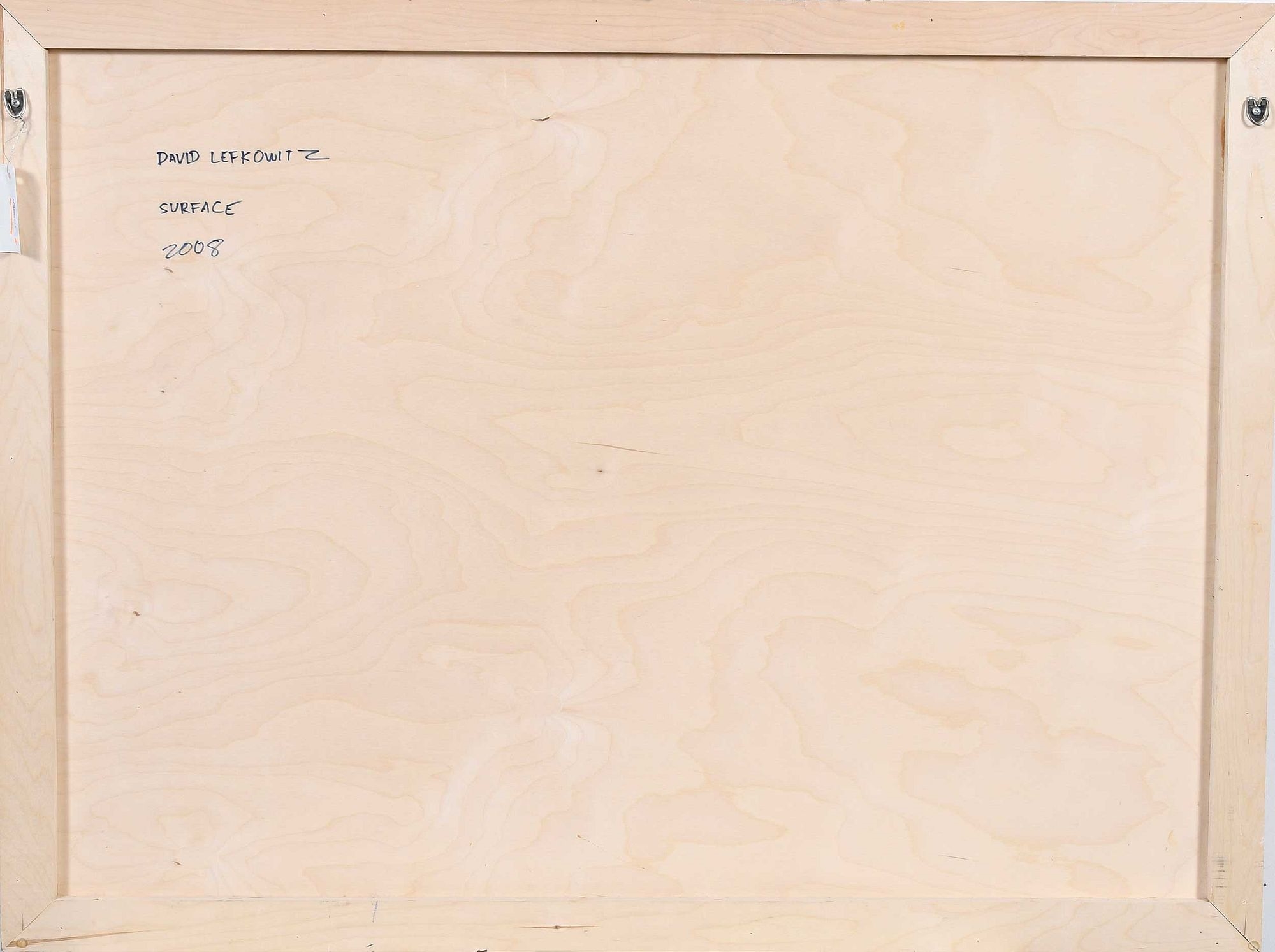 David Lefkowitz | Surface (2008) | MutualArt