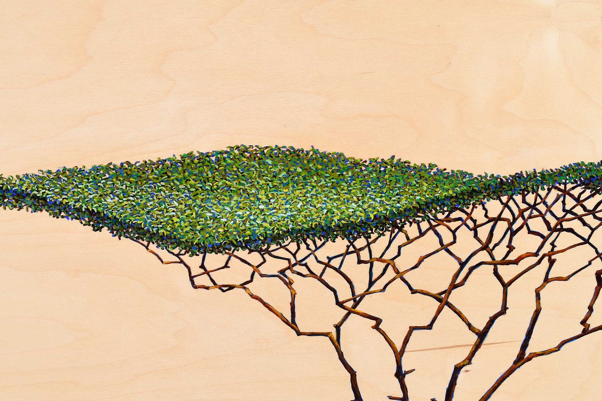 David Lefkowitz | Surface (2008) | MutualArt