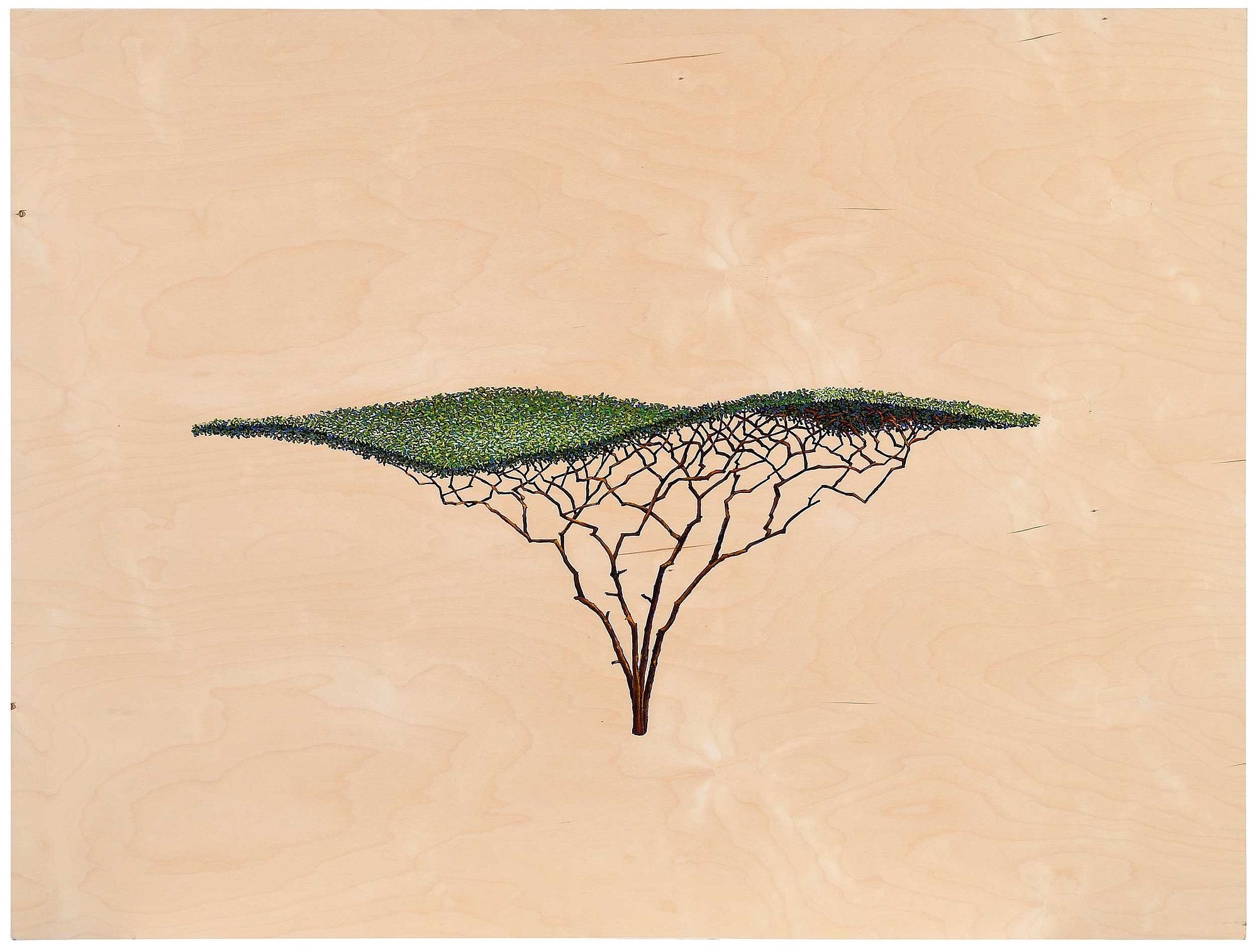 David Lefkowitz | Surface (2008) | MutualArt