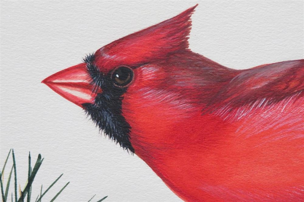 Anne Worsham Richardson | RED CARDINAL ON LONGLEAF PINE (1919) | MutualArt