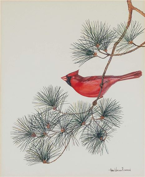 Anne Worsham Richardson | RED CARDINAL ON LONGLEAF PINE (1919) | MutualArt
