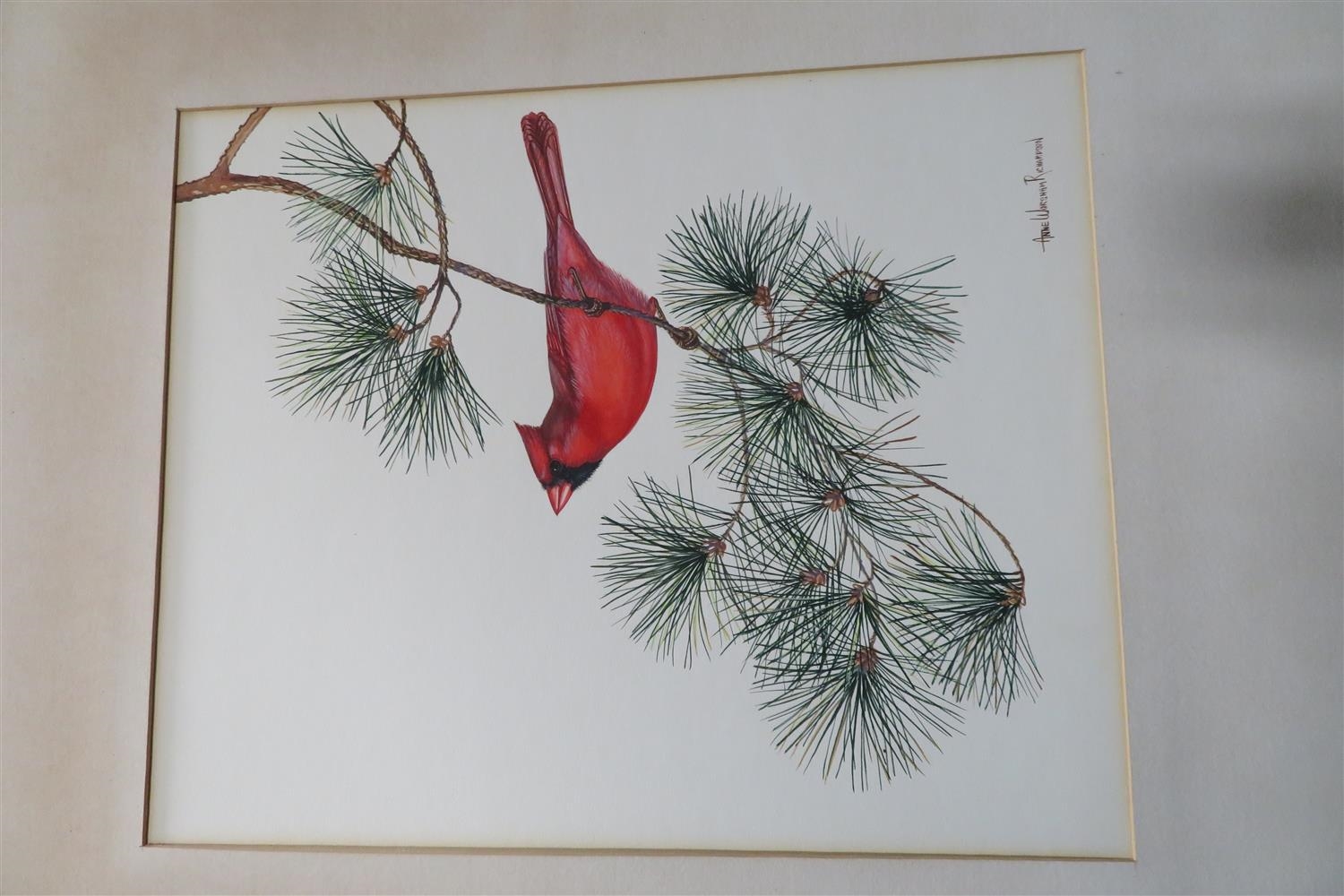 Anne Worsham Richardson | RED CARDINAL ON LONGLEAF PINE (1919) | MutualArt