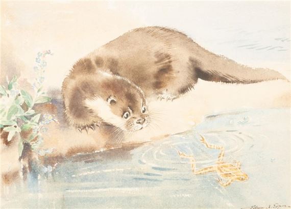 Eileen Alice Soper | A Surprise Encounter - an otter cub watching a ...