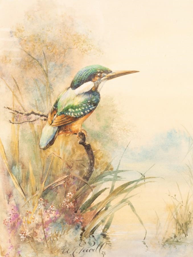 William E. Powell | A Royal Fisherman - Kingfishers on branches (1926 ...