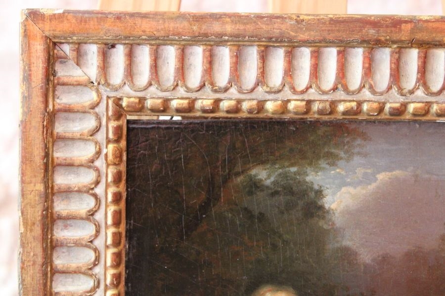 Jacques Antoine Vallin | Cracks and old restorations | MutualArt