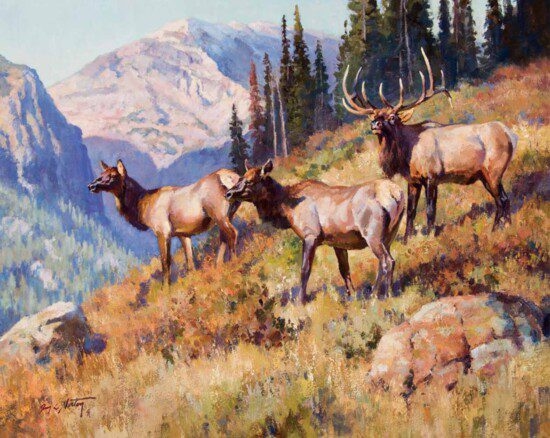 Jim Norton | Days of the Shield | MutualArt