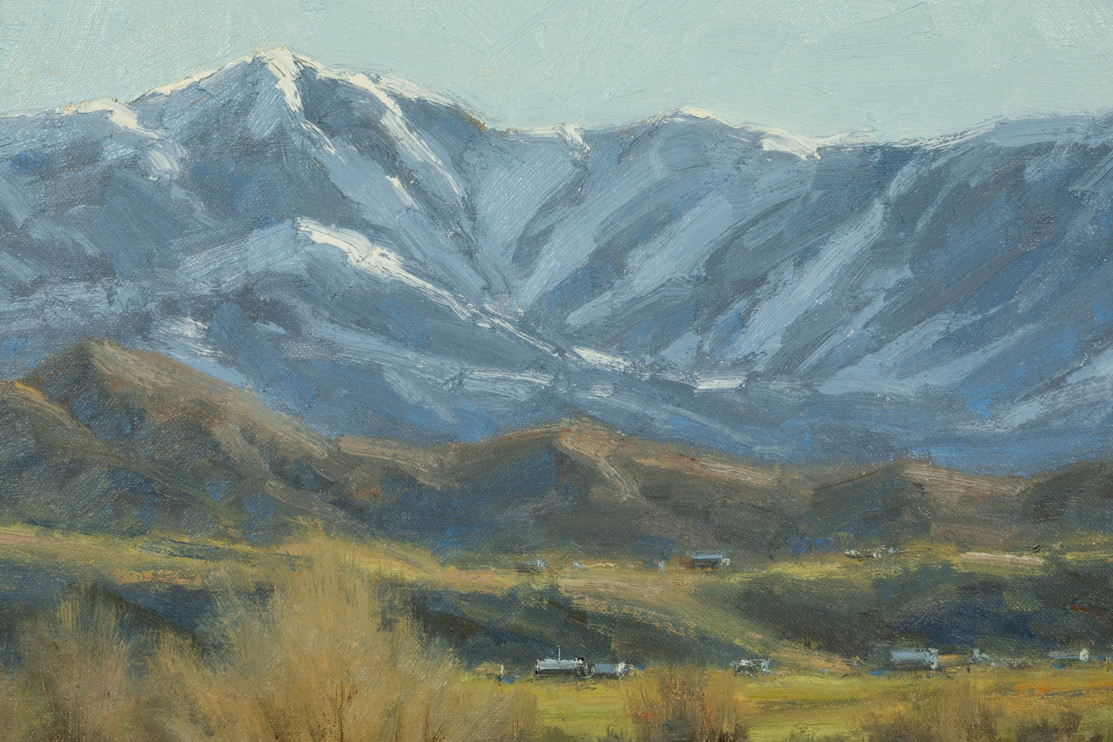 Dan Young | Spring Renewal | MutualArt