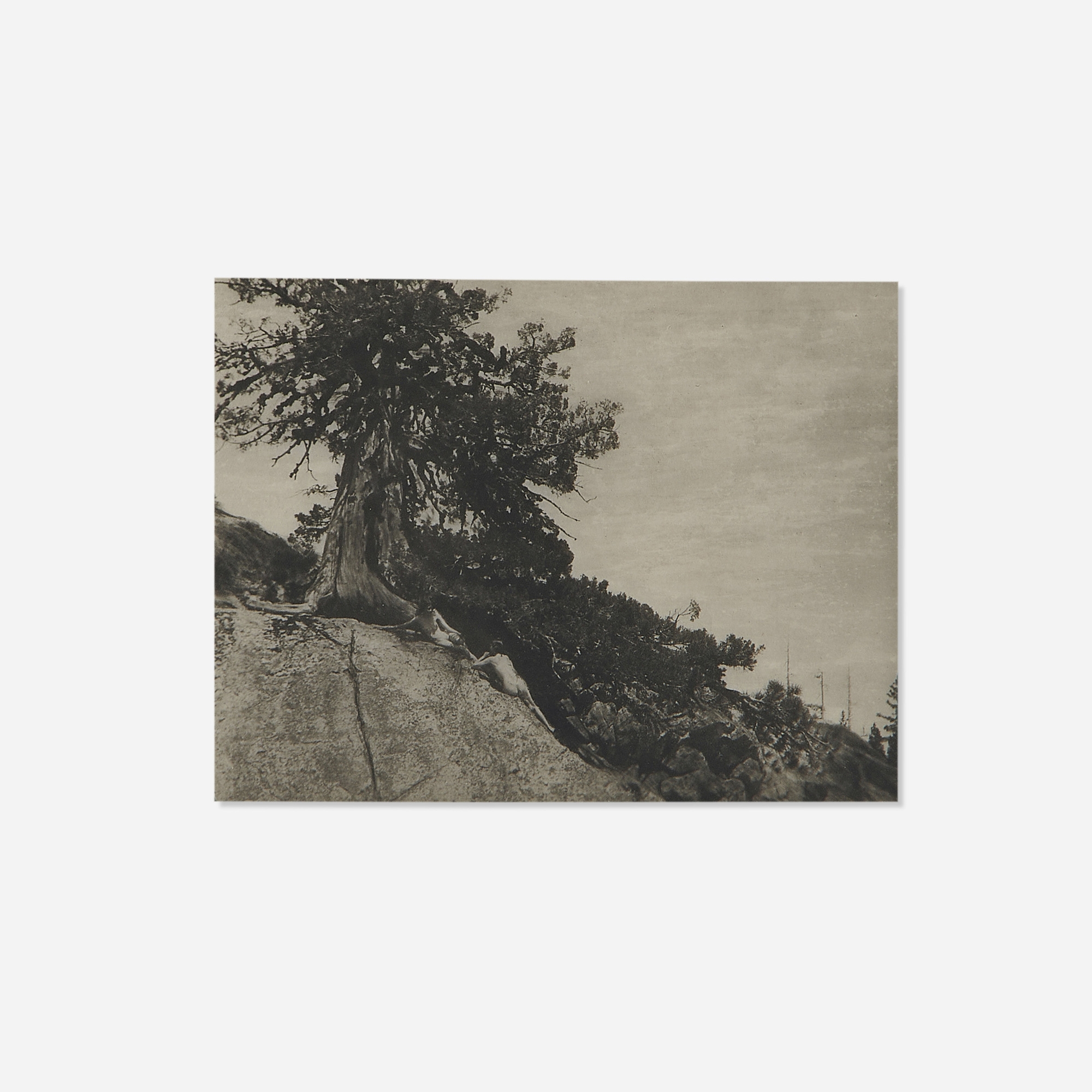 Anne Brigman | Dryads (from the Camera Work series) (1912) | MutualArt