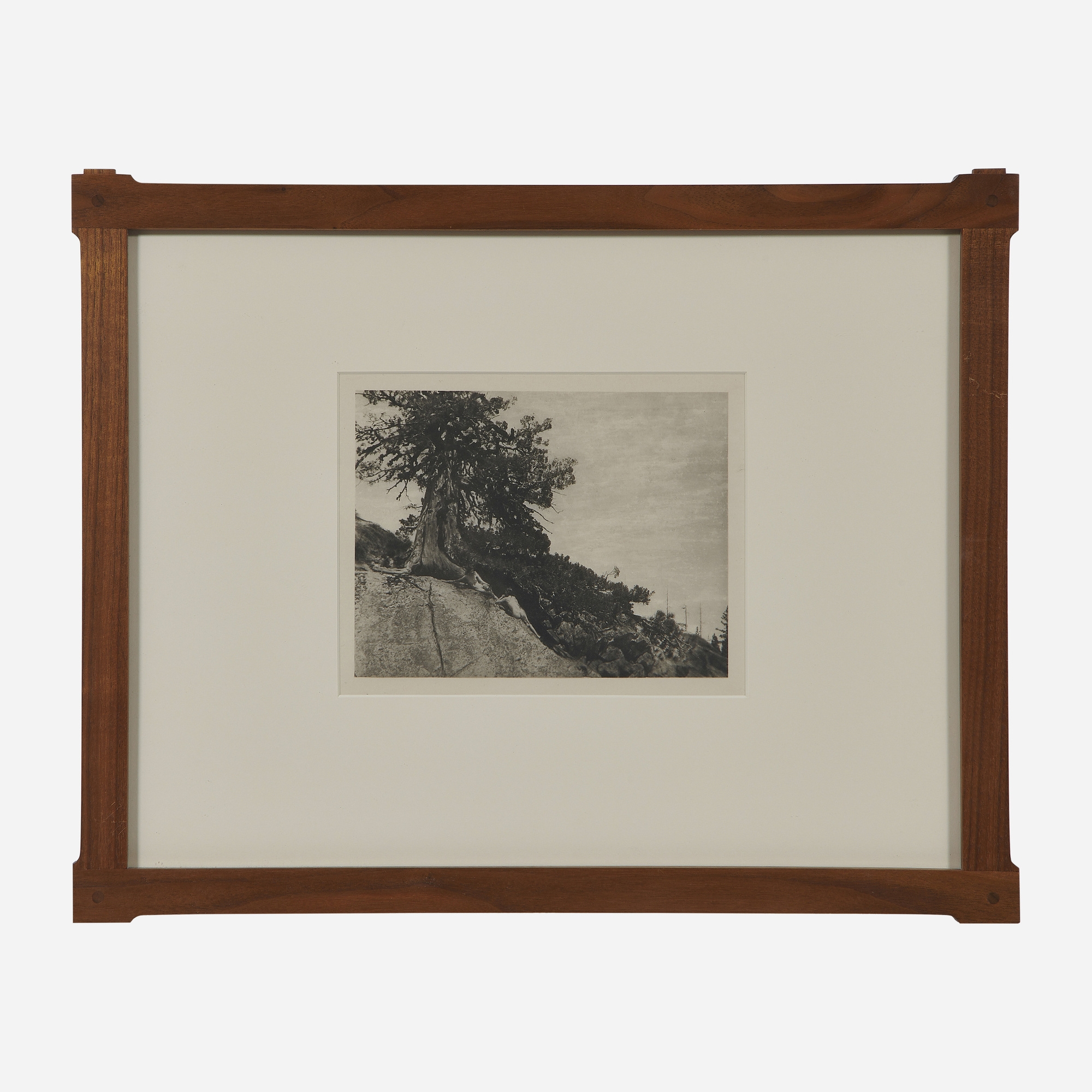 Anne Brigman | Dryads (from the Camera Work series) (1912) | MutualArt