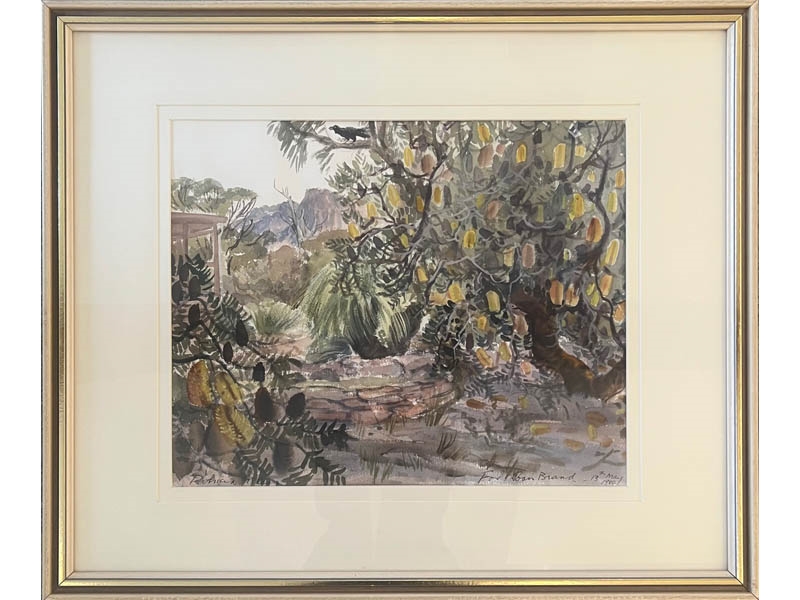 Patricia Giles | Banksia in Joan Brand's Bush Garden at the Chateau ...