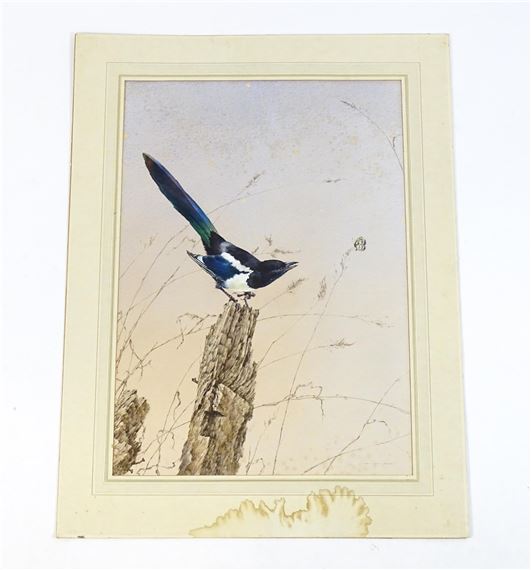 David Ord Kerr | A study of a magpie and a butterfly. Signed lower ...