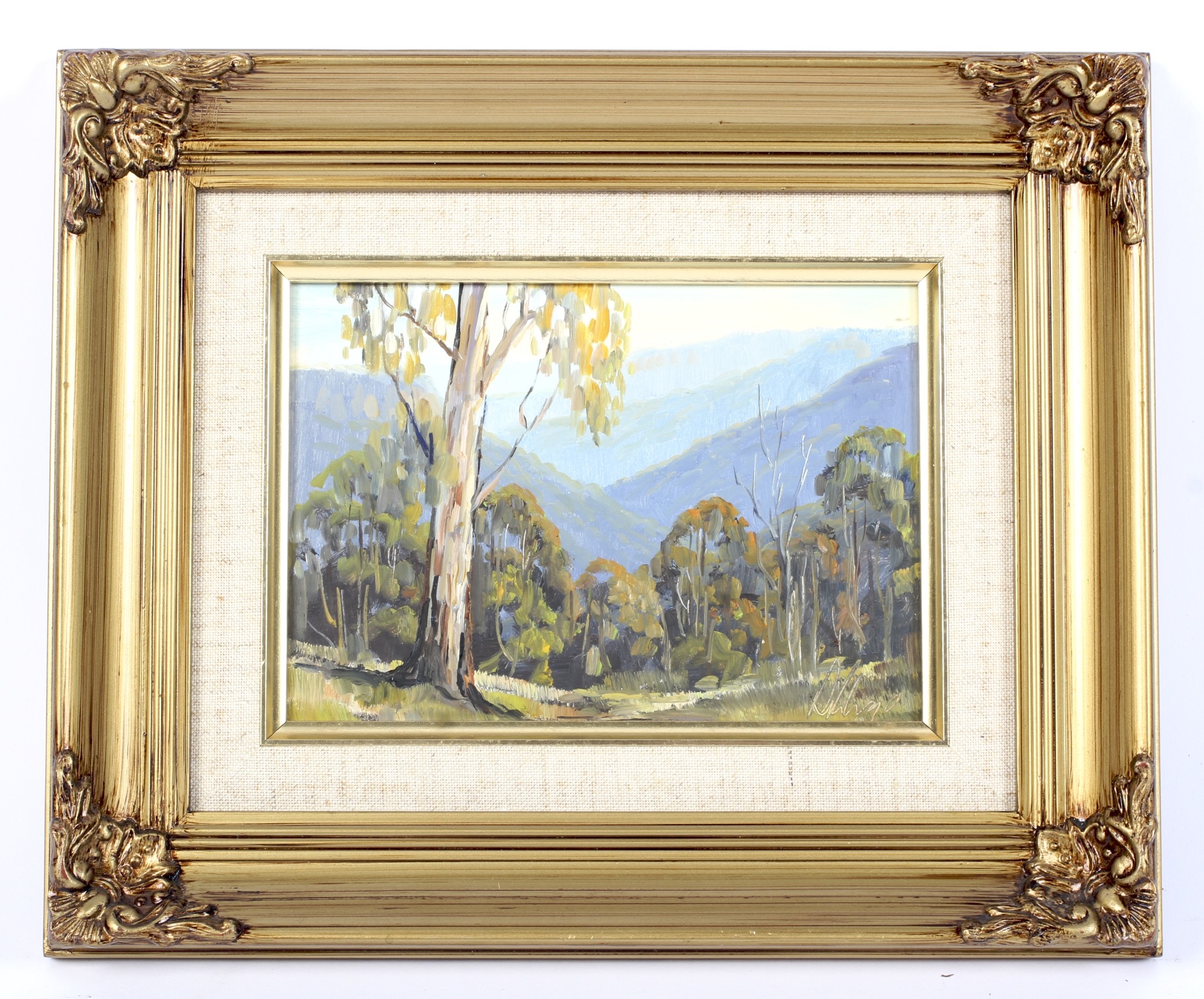Ronald Peters | Bundanoon Gorges | MutualArt