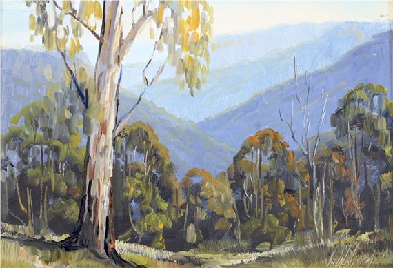 Ronald Peters | Bundanoon Gorges | MutualArt