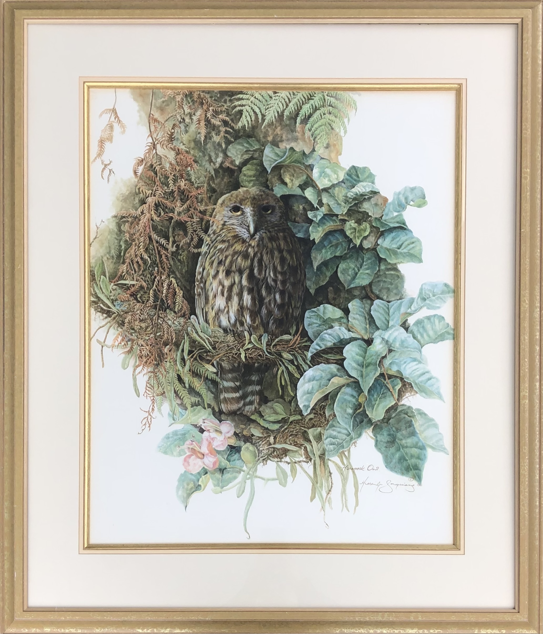Merrilyn Jaquiery | Morepork Owl | MutualArt