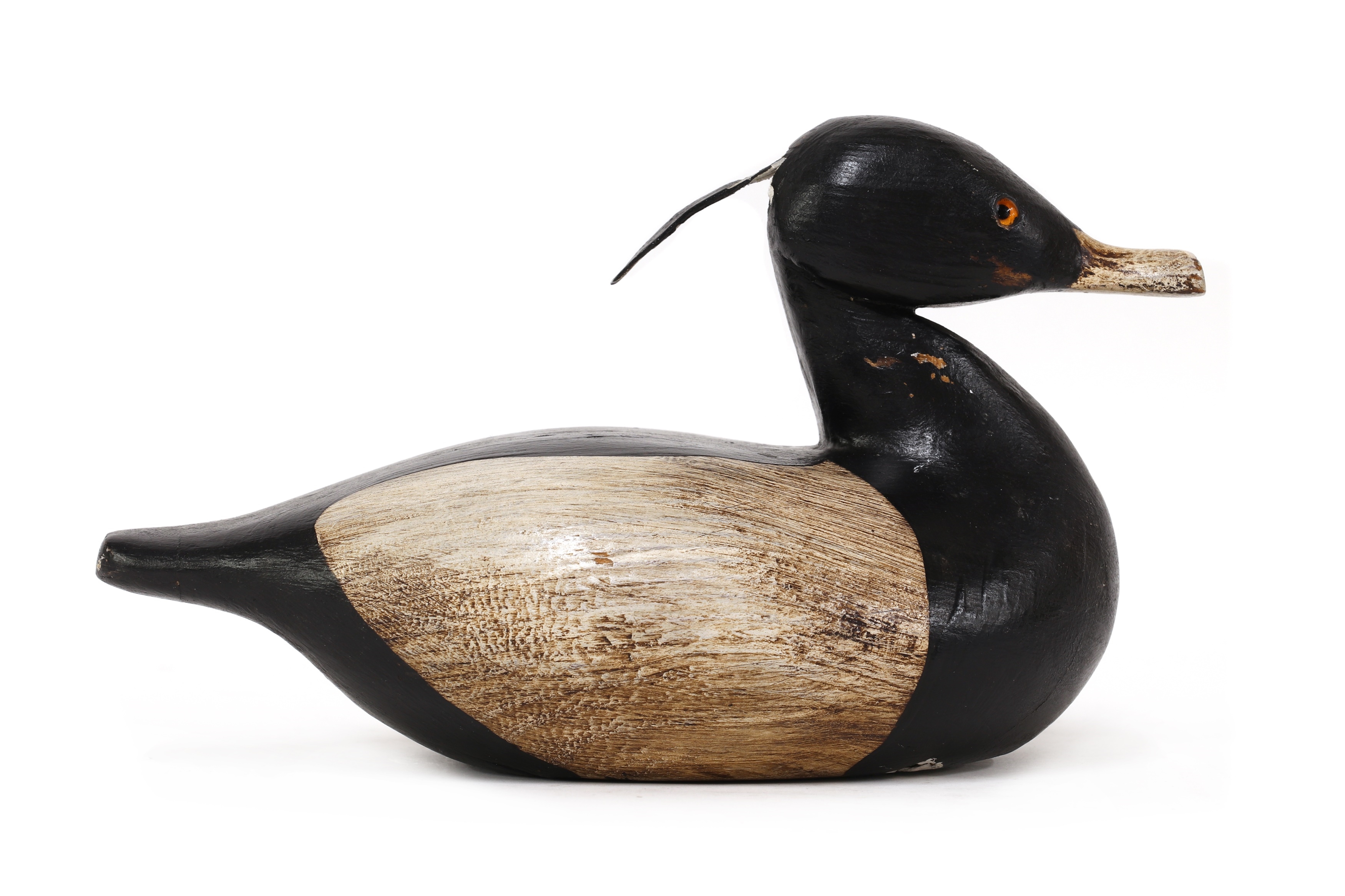 Guy Taplin | Tufted duck | MutualArt