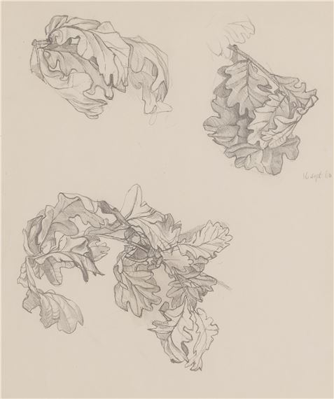 John Aldridge | Leaf studies (60s) | MutualArt