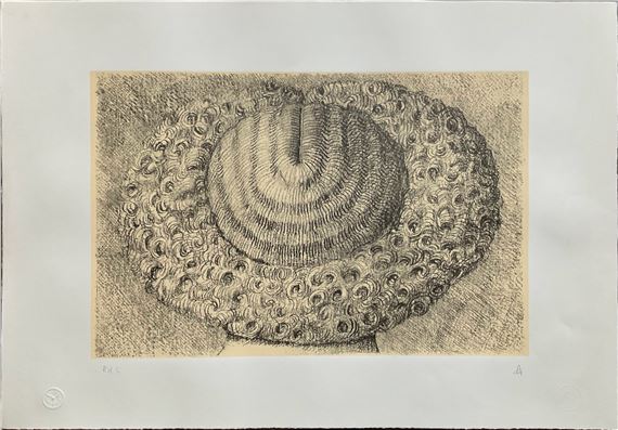 Domenico Gnoli | Untitled (1952) | MutualArt