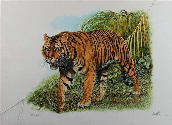 Robert Dallet | Walking tiger | MutualArt