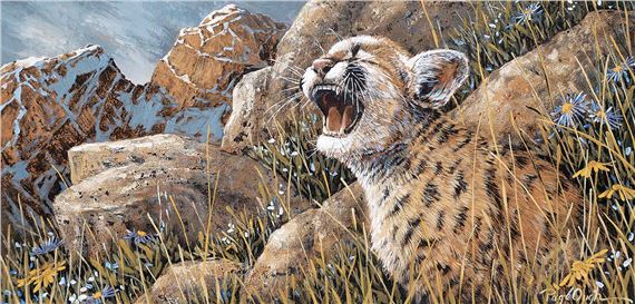 Page Ough | Child of the Rockies - Cougar Kitten (2003) | MutualArt