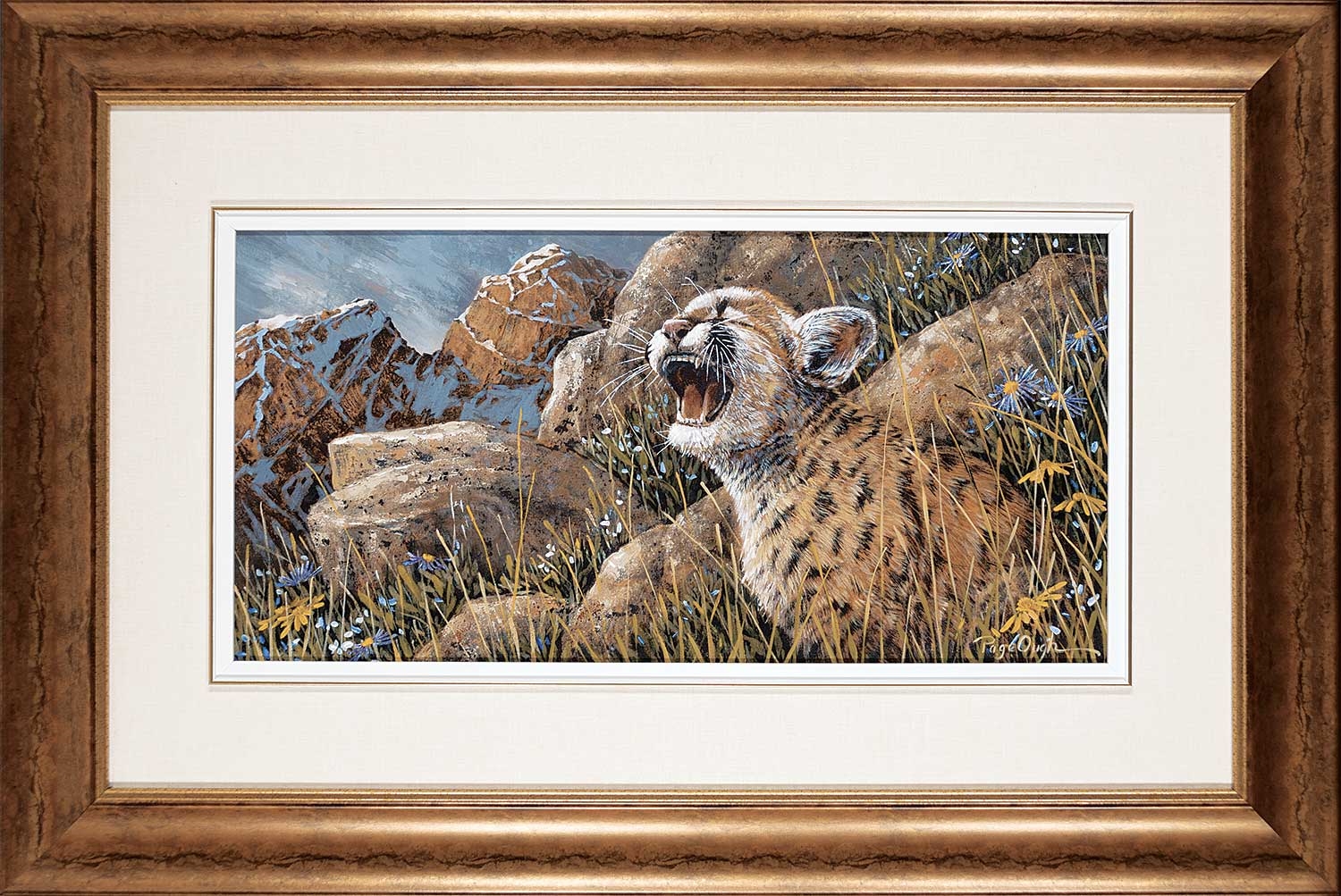 Page Ough | Child of the Rockies - Cougar Kitten (2003) | MutualArt