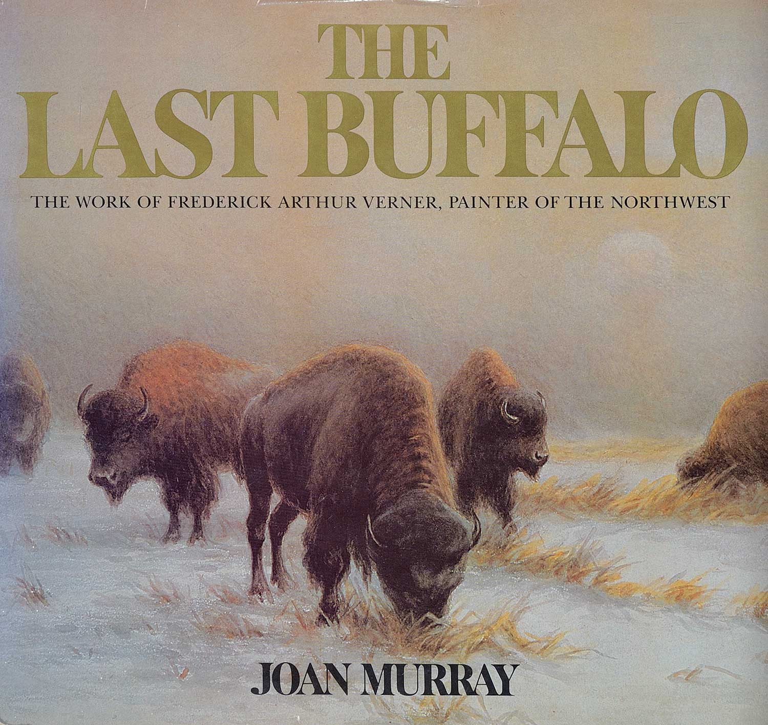 Frederick Arthur Verner | Portrait of a Native (1883) | MutualArt