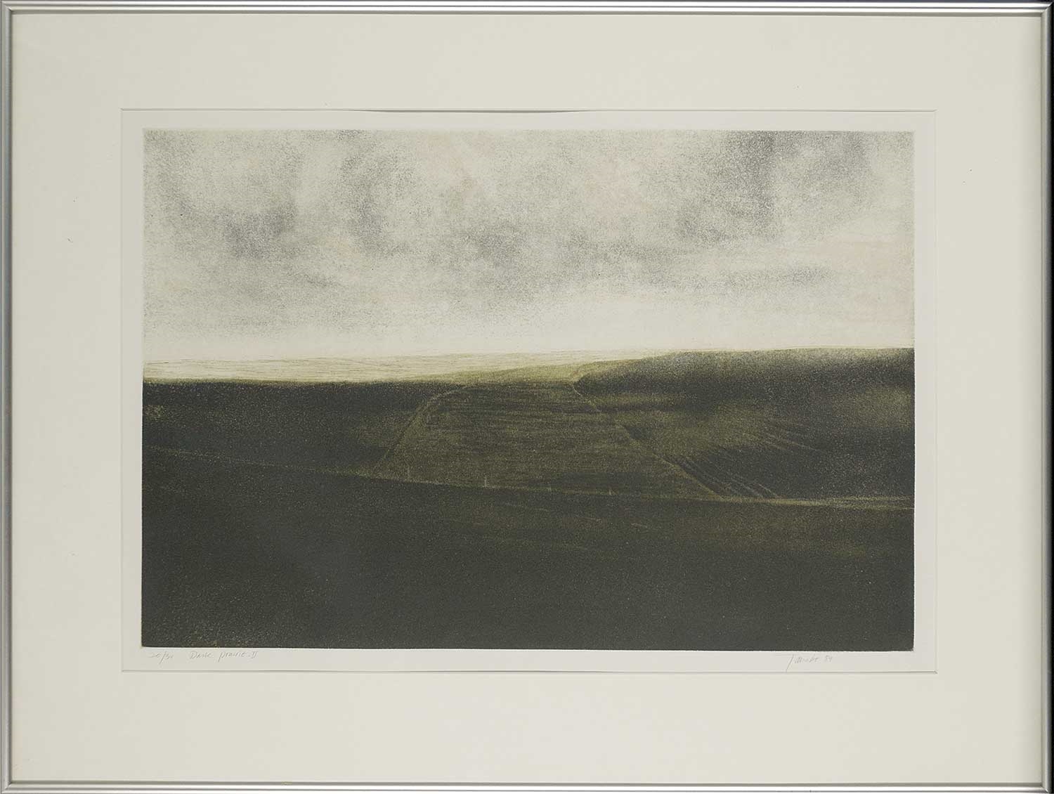 Takao Tanabe | Dark Prairie II #20/35 (1984) | MutualArt
