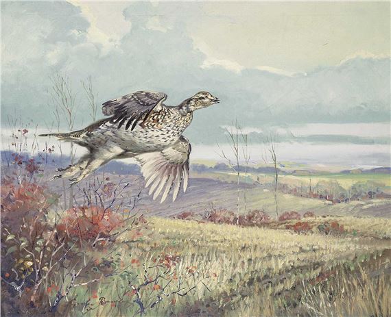 George Browne | Sharp Tail Grouse Flushing | MutualArt