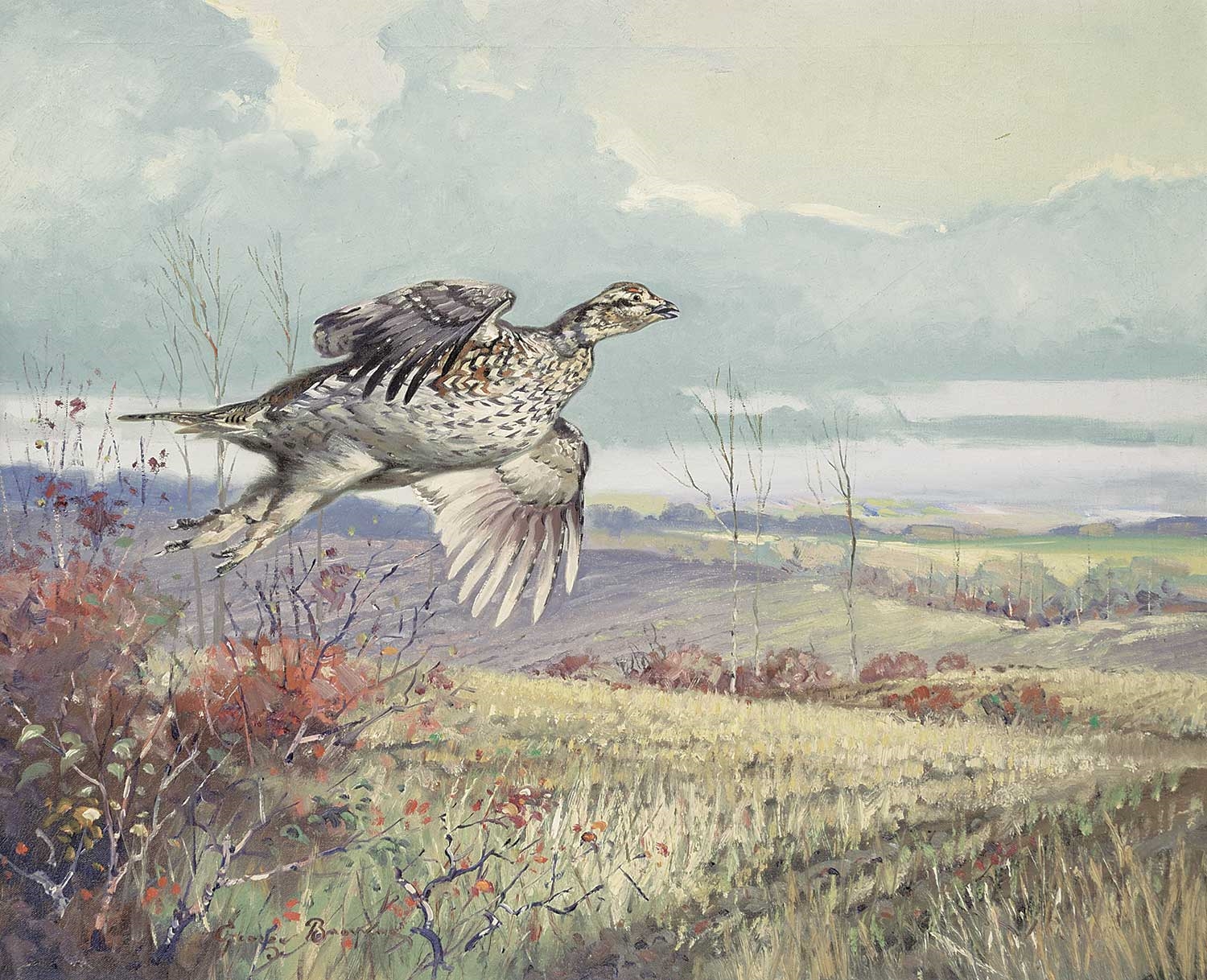 George Browne | Sharp Tail Grouse Flushing | MutualArt