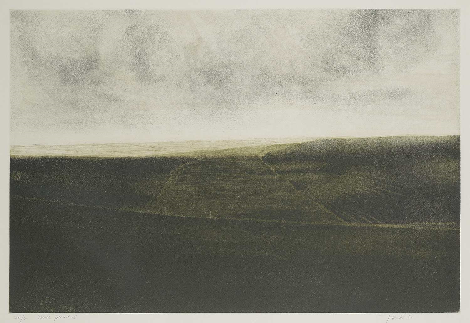 Takao Tanabe | Dark Prairie II #20/35 (1984) | MutualArt