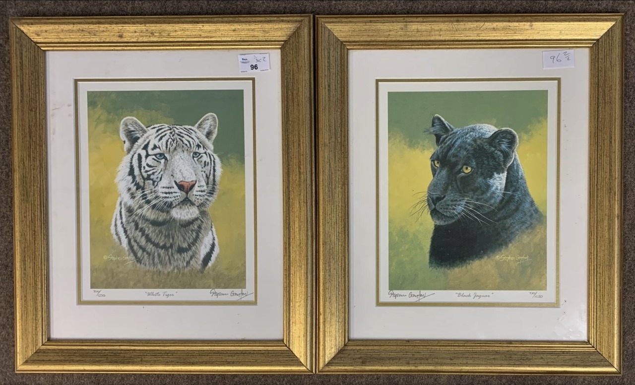 Stephen Gayford | White Tiger and Jaguar | MutualArt