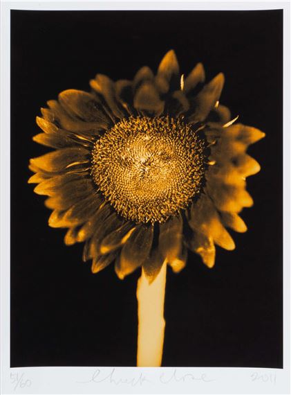 Chuck Close | GEORGIA (1984) | MutualArt