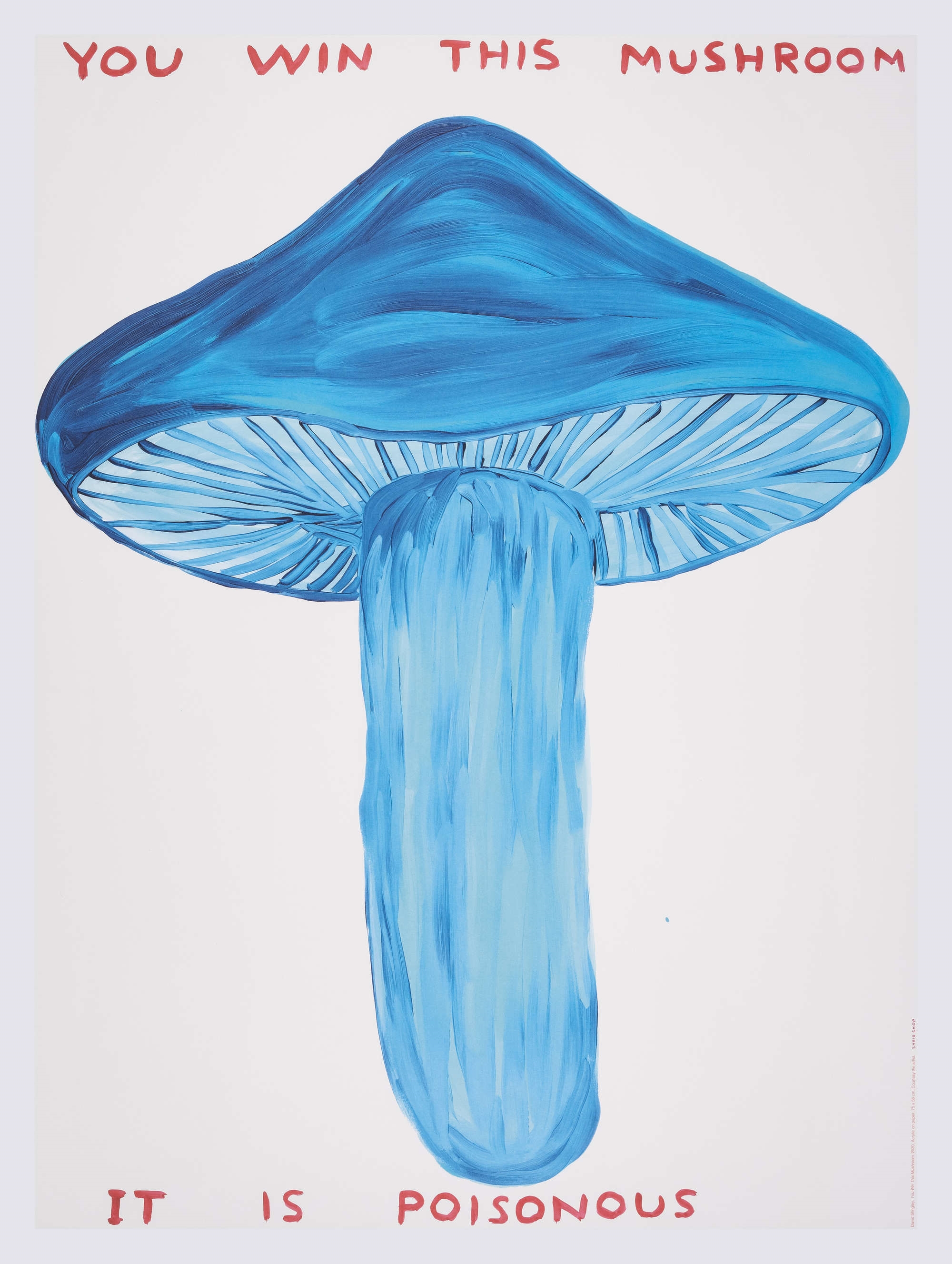 David Shrigley | Fruit and Vegetable Series: The Moment Has Arrived ...