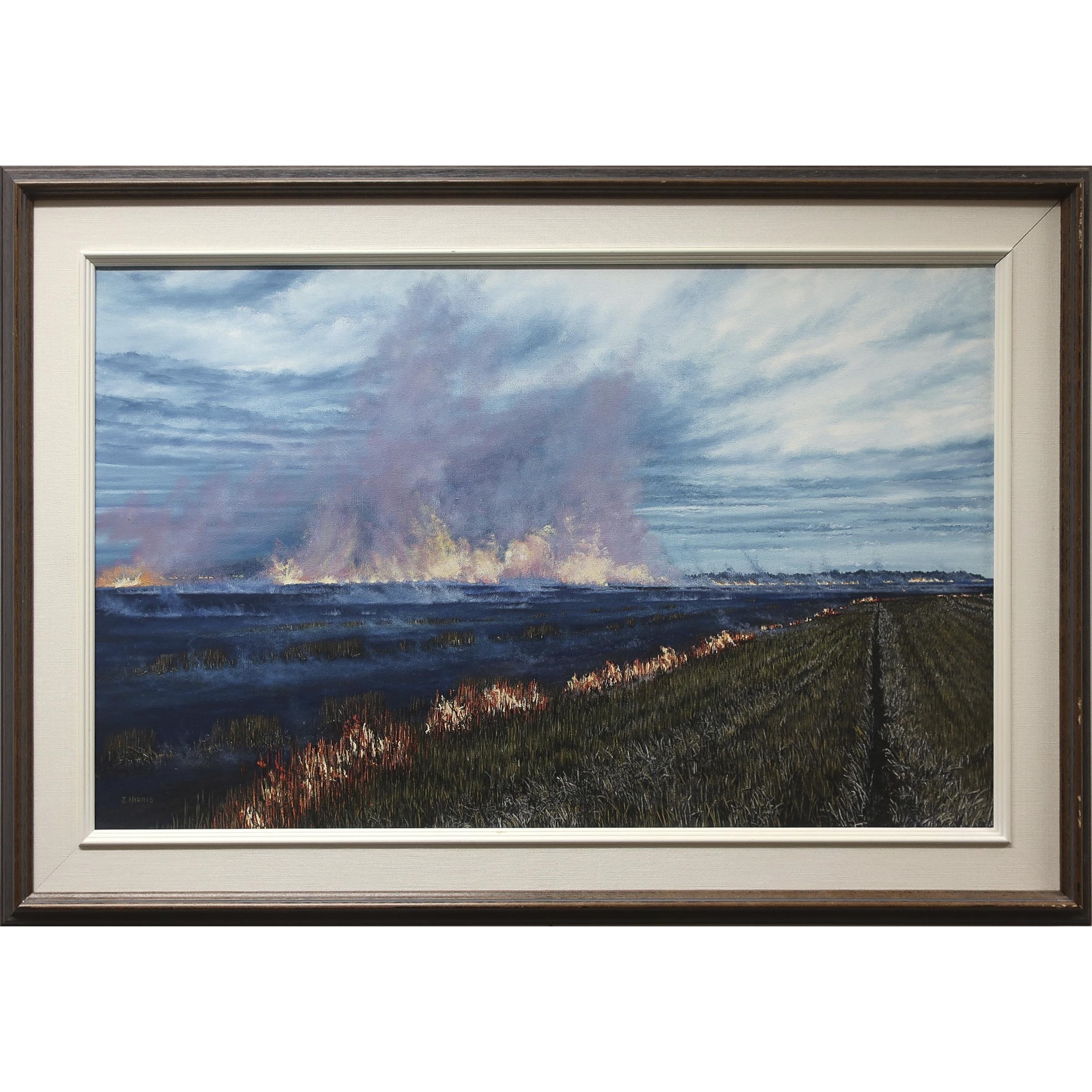 Julie Harris | BURNING OFF THE STRAW, GROSSE ISLE, MANITOBA | MutualArt
