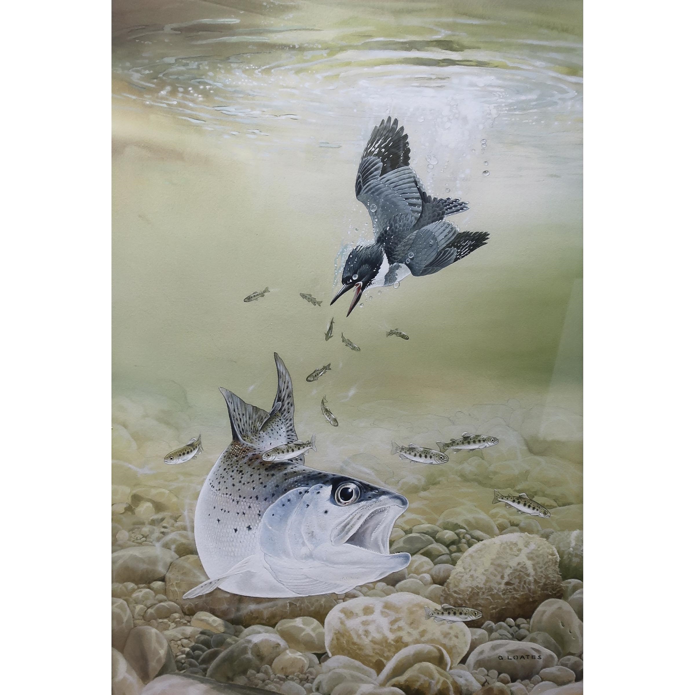 Glen Loates | UNTITLED (BIRD DIVING FOR FISH) | MutualArt
