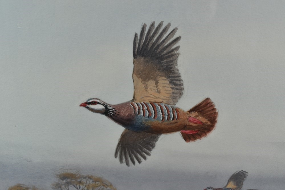 John Cyril Harrison | French Partidges | MutualArt