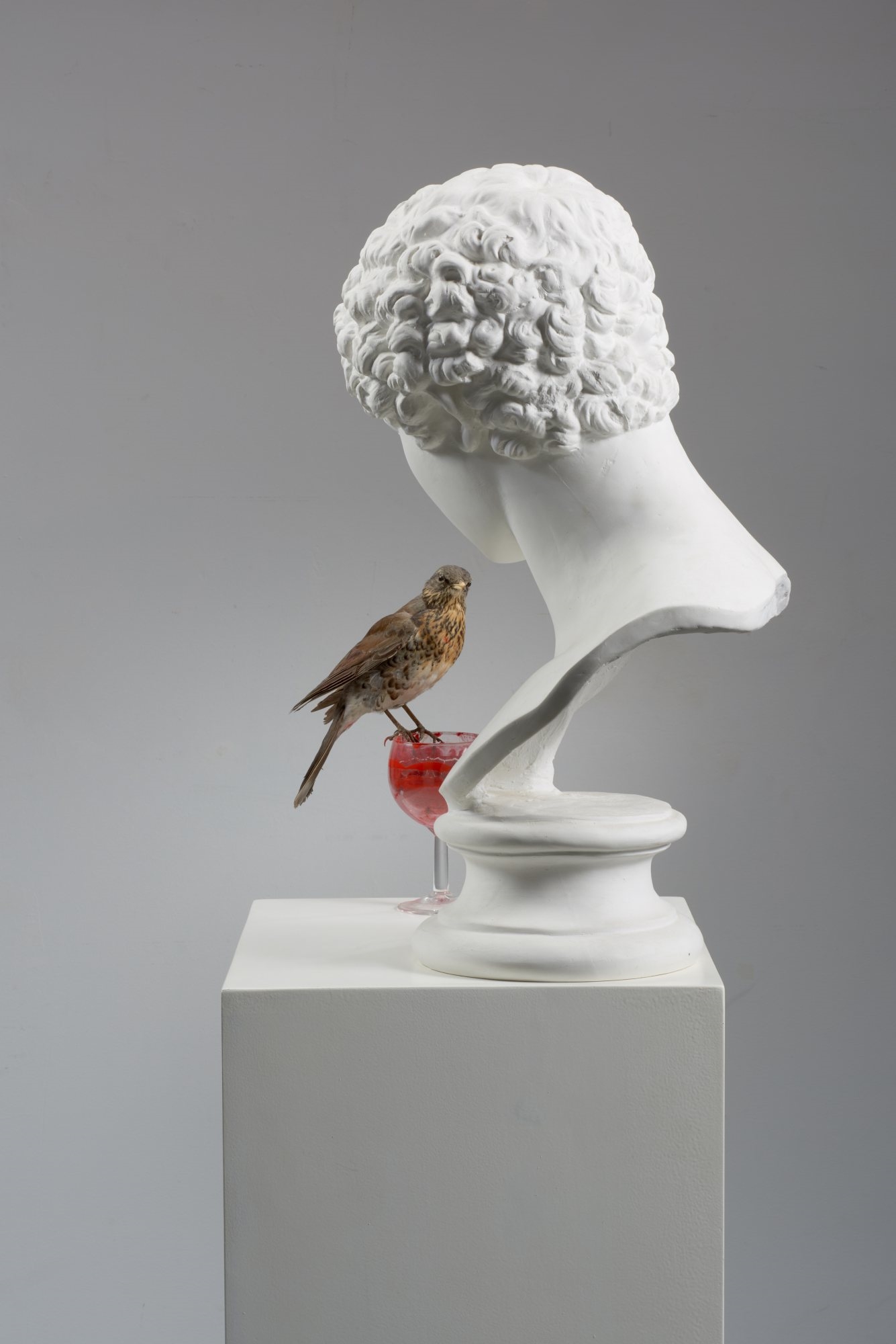 Claudio Parmiggiani | Senza titolo | MutualArt