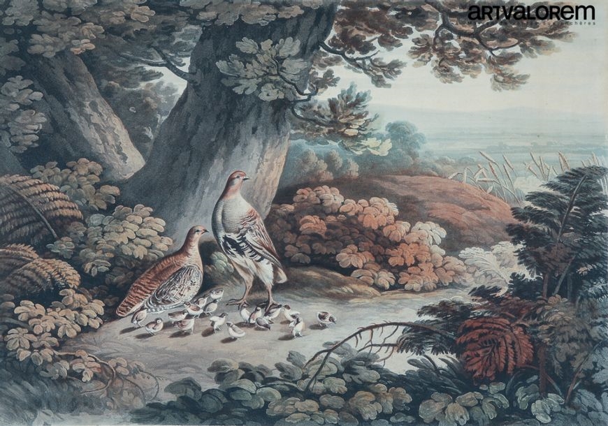 George Philip Reinagle | The grouse | MutualArt