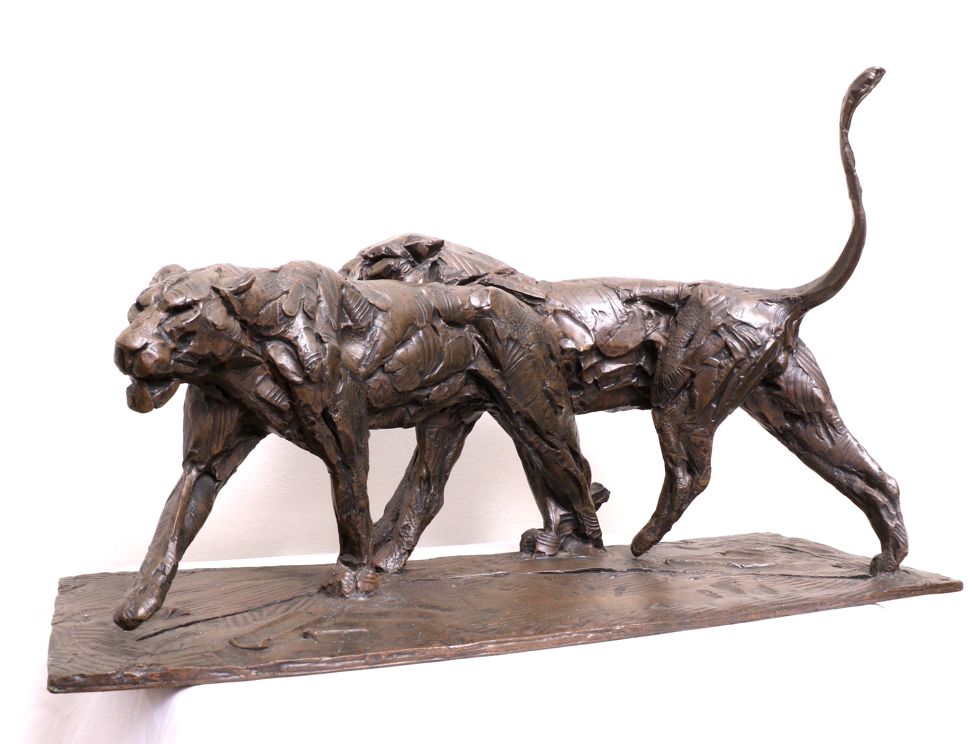 Dylan Lewis | TWO LIONESSES | MutualArt