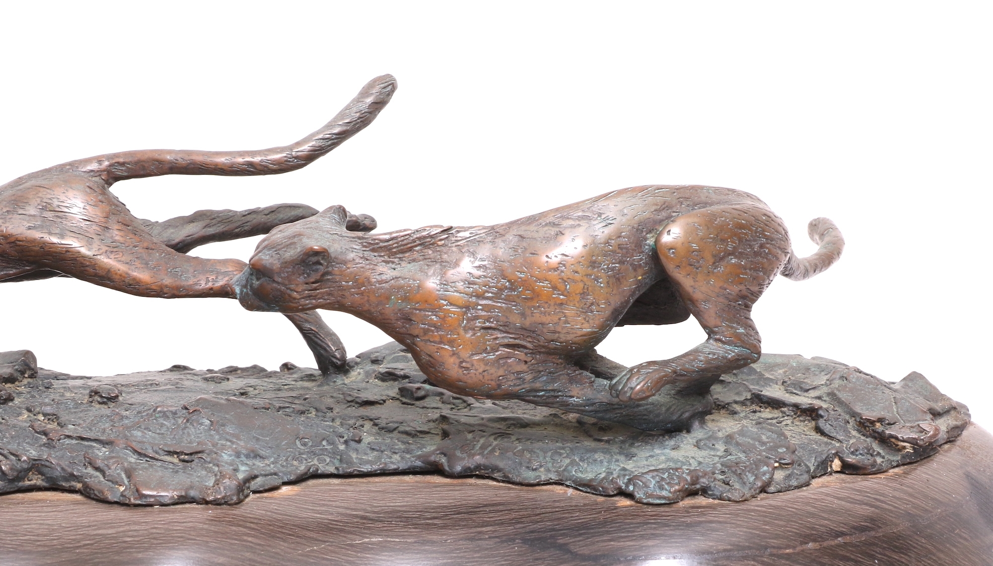 Graham Quinn | CHEETAS CHASING AN ANTELOPE | MutualArt