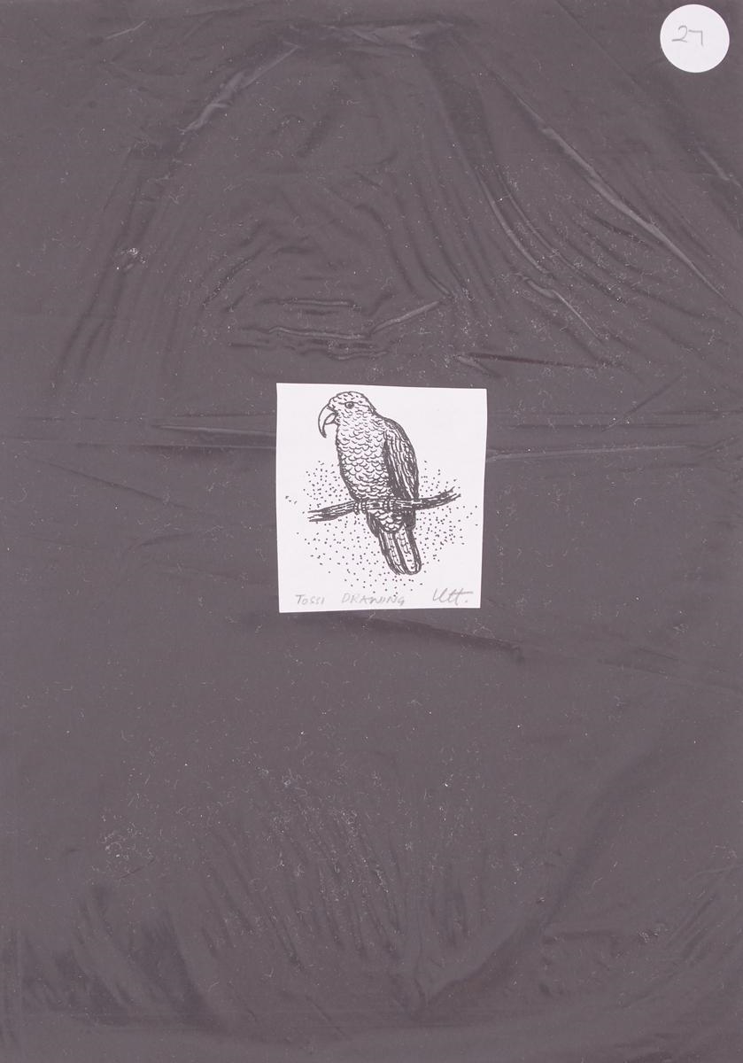 Barry Lett | Tossi Drawing | MutualArt