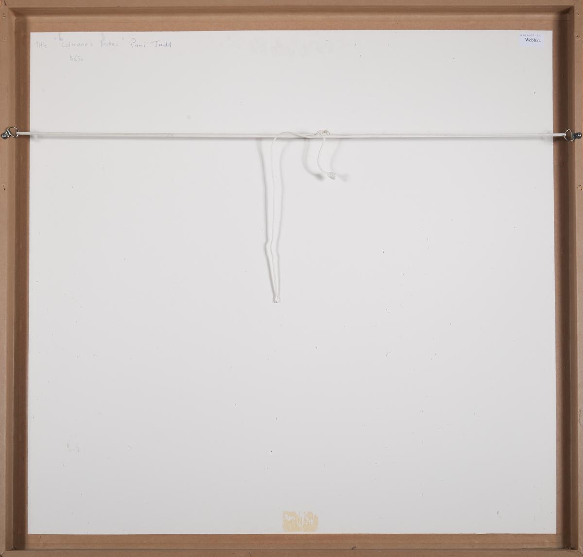Paul Judd | Coltrains Bodies | MutualArt