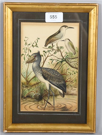 Pierre Jacques Smit | Biography