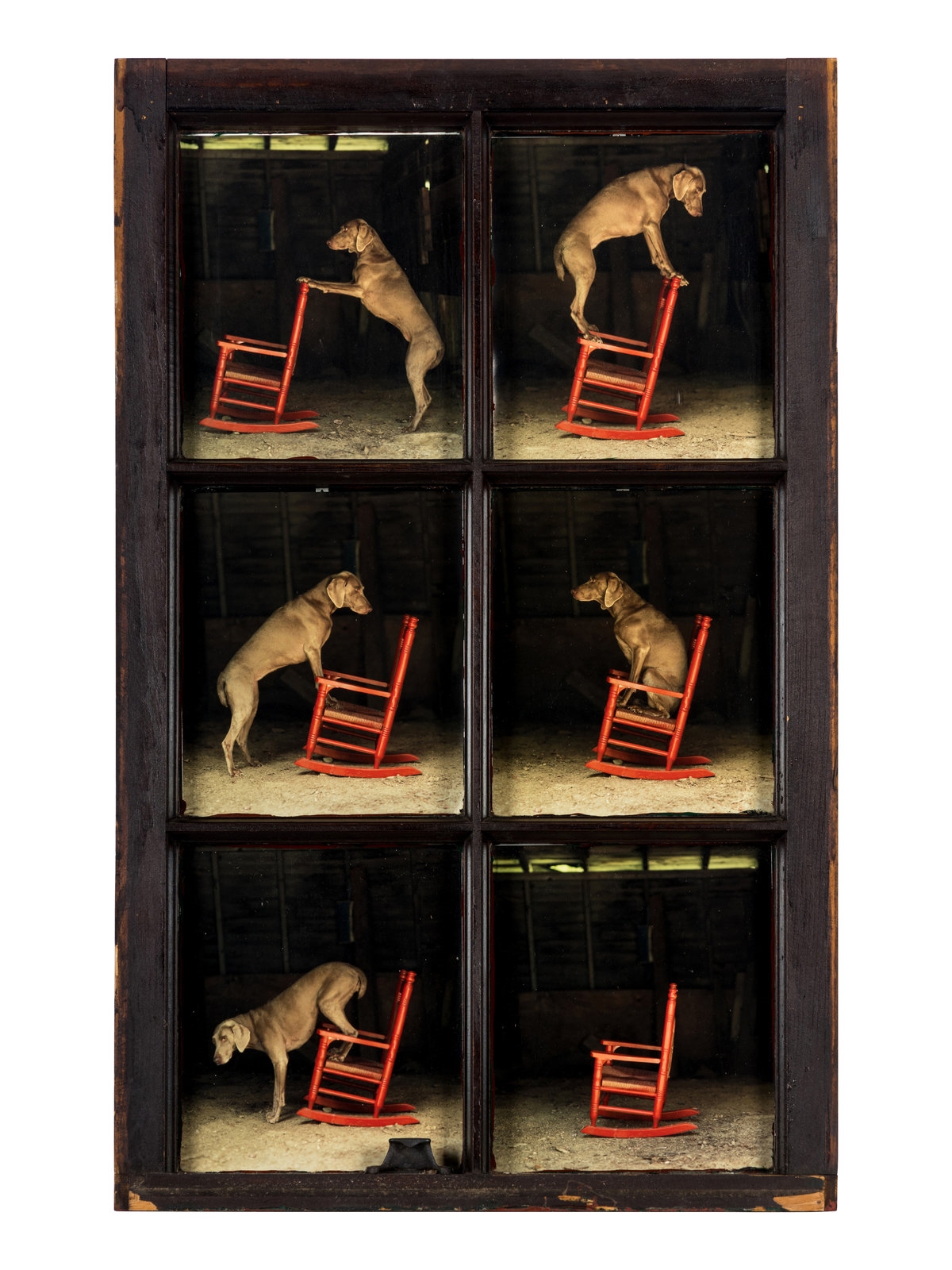 William Wegman | Red Rocker | MutualArt