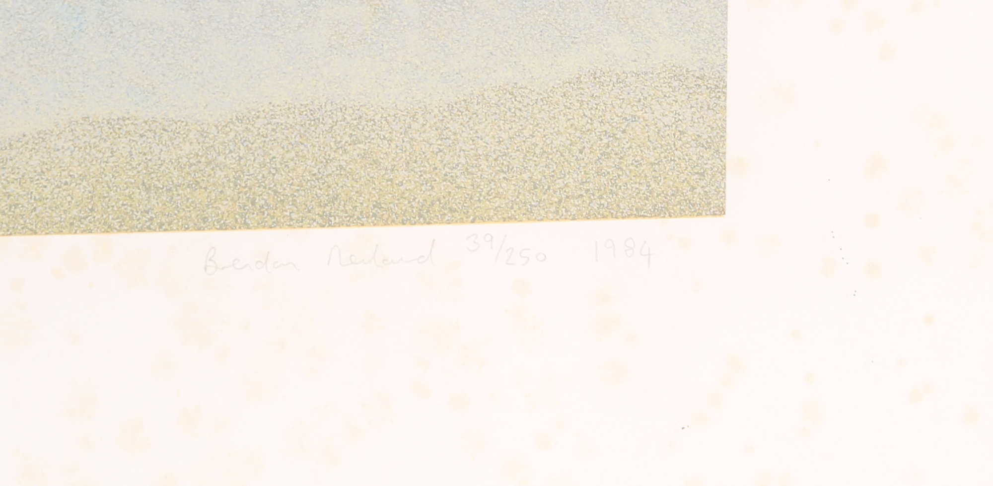 Brendan Neiland | Brendan Neiland | MutualArt