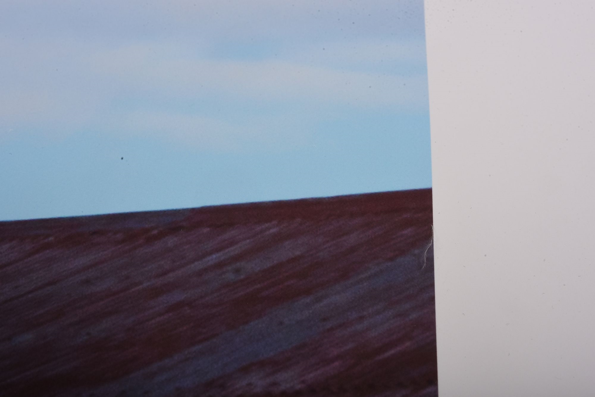 Pablo Valenzuela | Roof Top | MutualArt