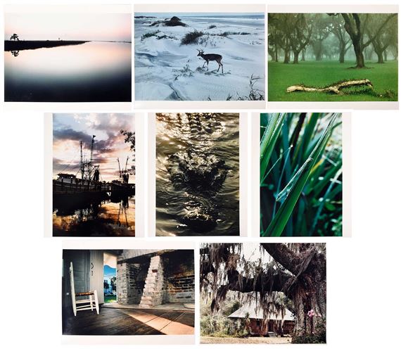 Jim Wilkinson | 2 Artworks at Auction | MutualArt