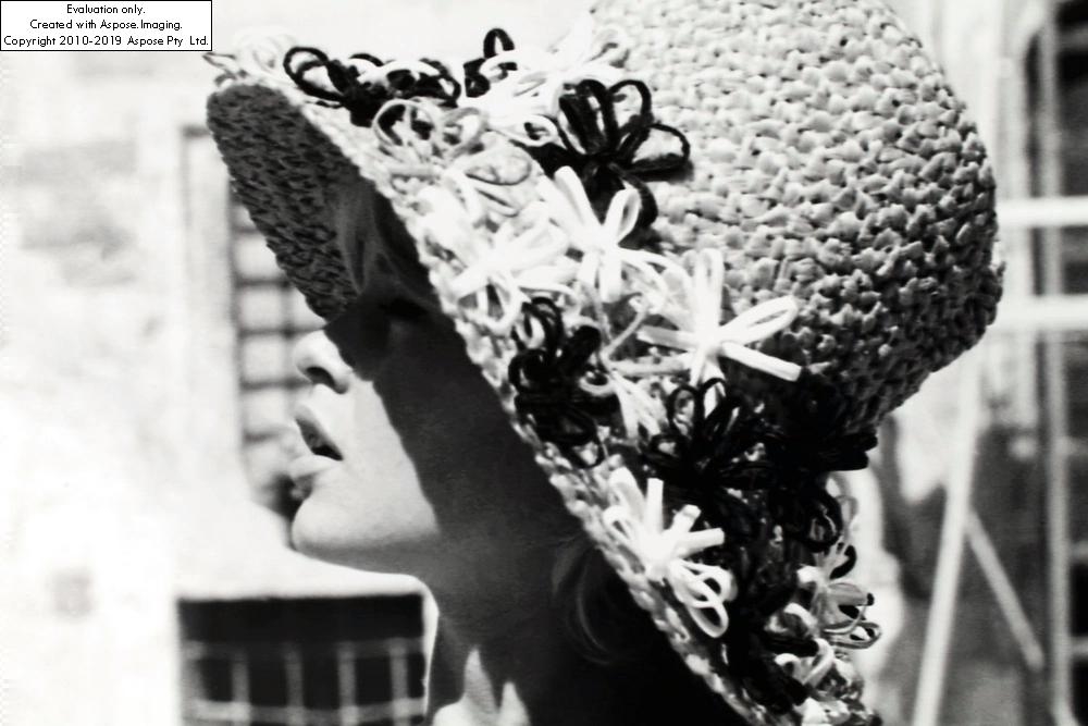 Patrick Morin | Brigitte Bardot | MutualArt