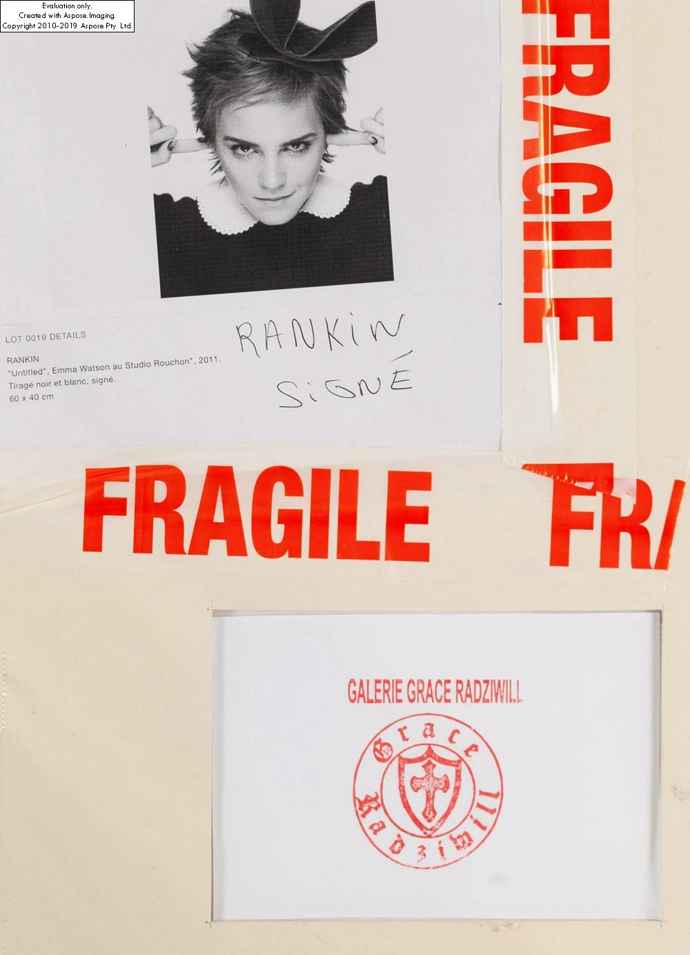 Rankin | Emma Watson (2011) | MutualArt