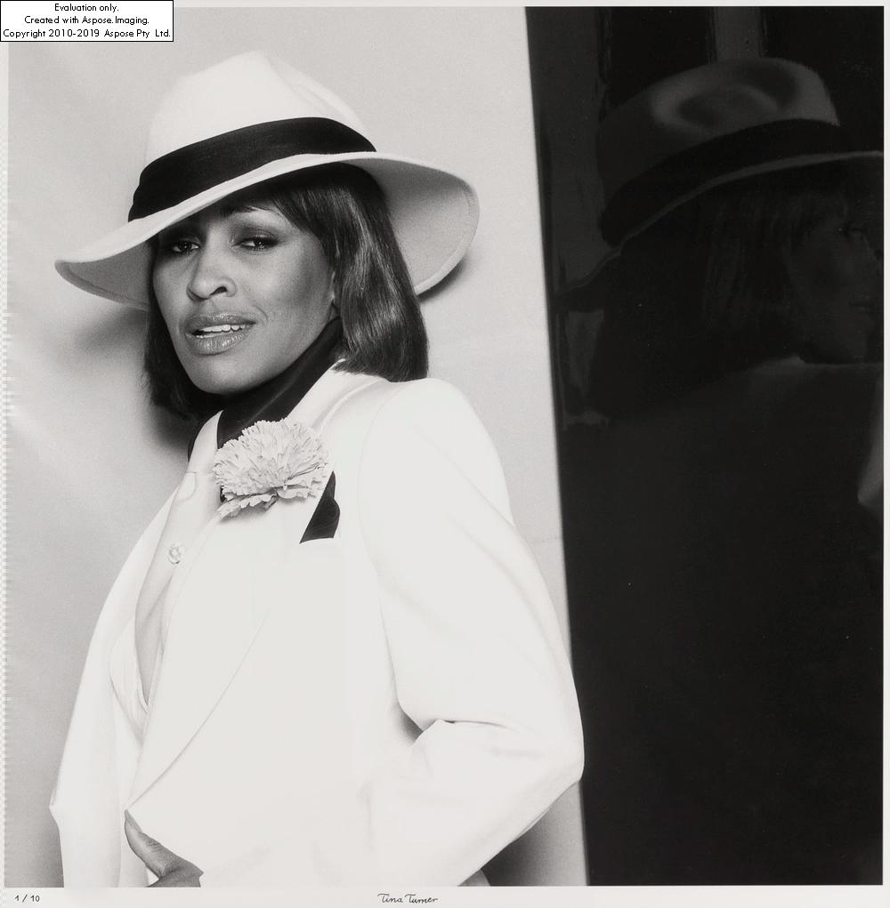 Harry Langdon | Tina Turner (1977) | MutualArt