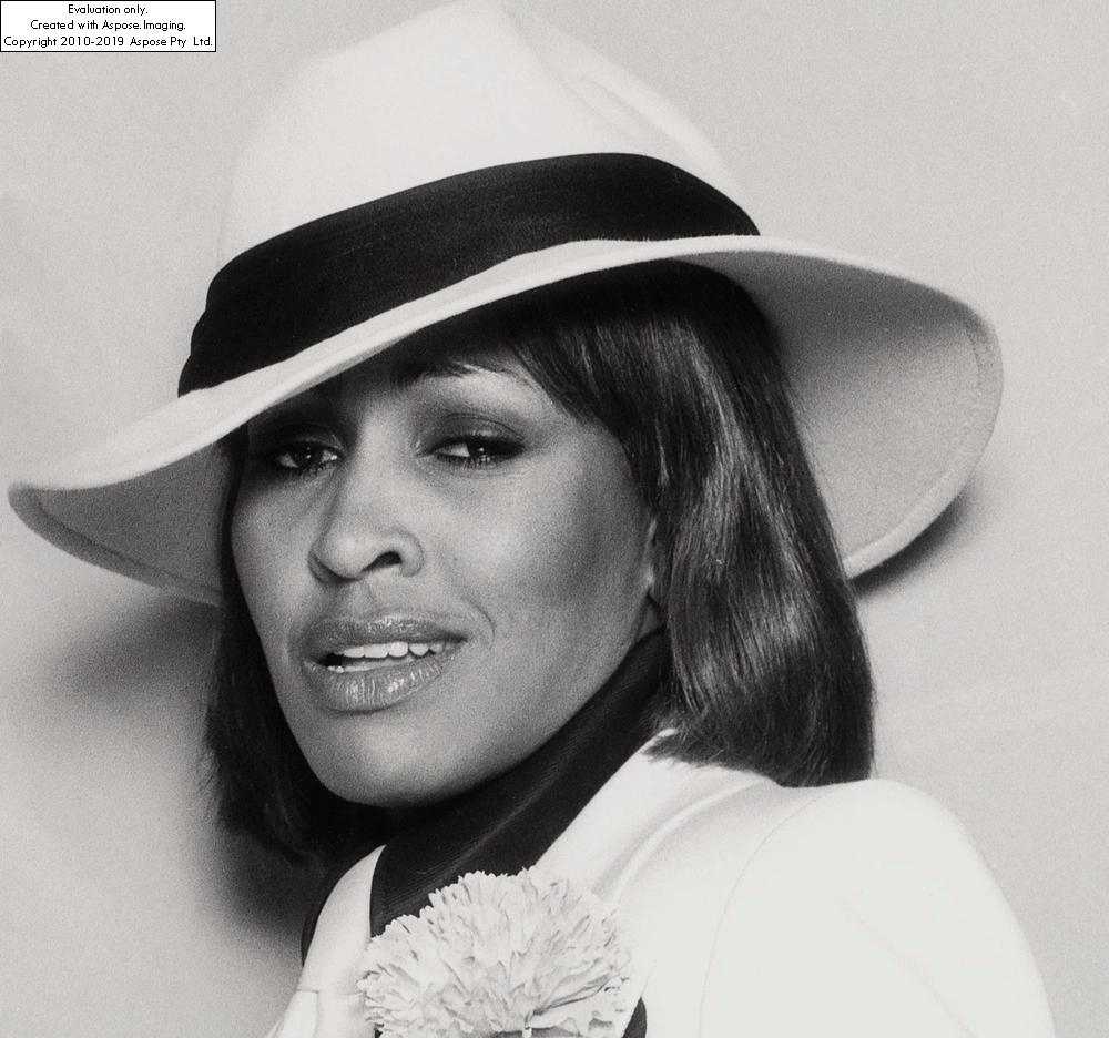 Harry Langdon | Tina Turner (1977) | MutualArt